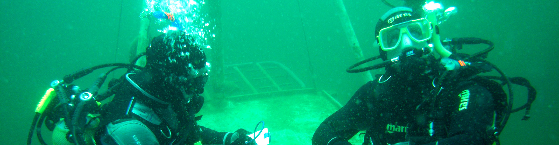 PADI Divemaster [DM]